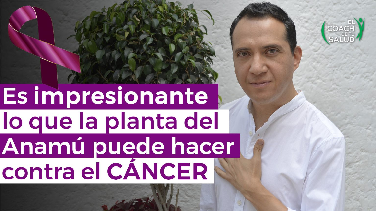 Es impresionante lo que la planta del Anamú puede hacer contra el ...