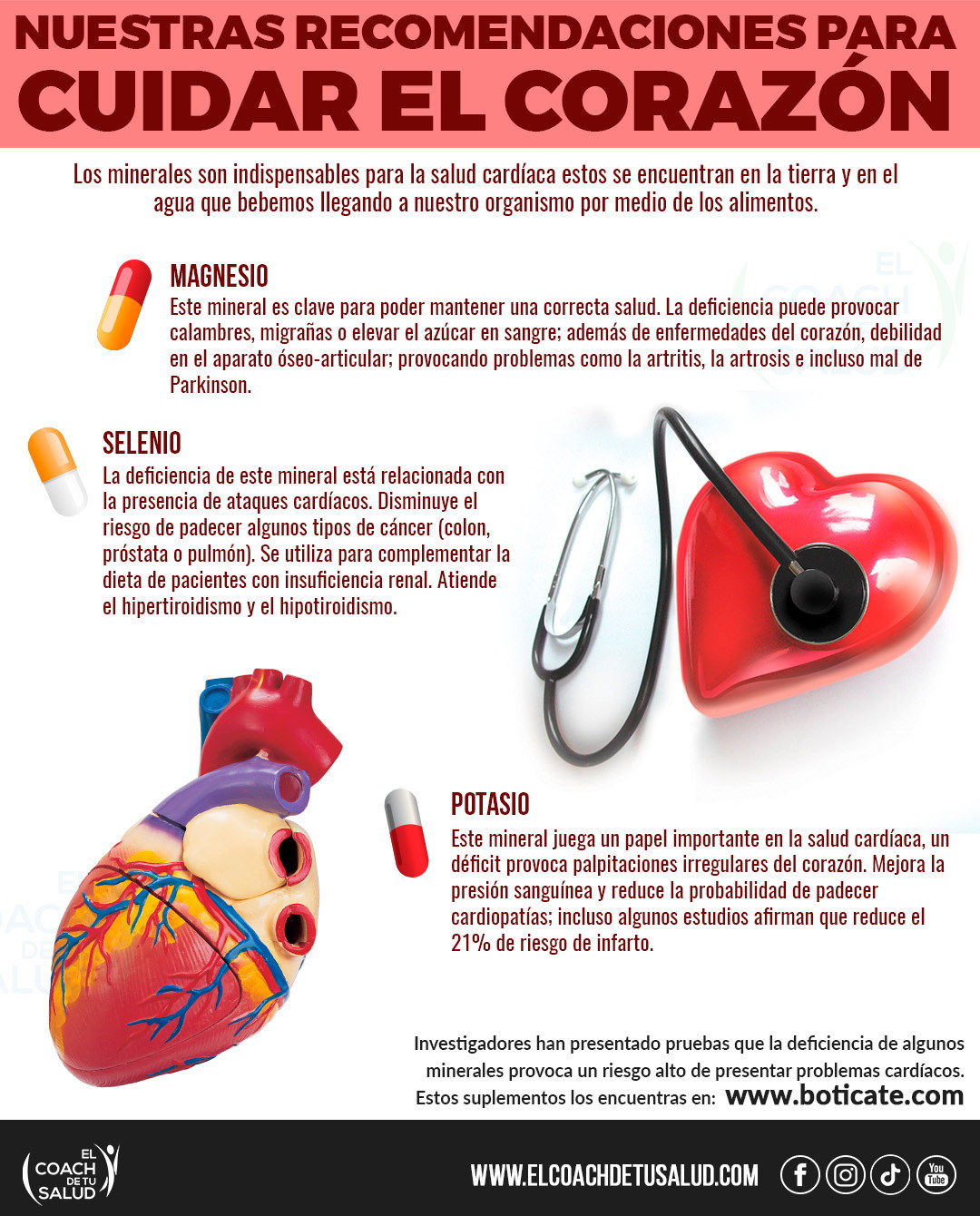 Cómo tener un corazón sano – El Coach de tu Salud