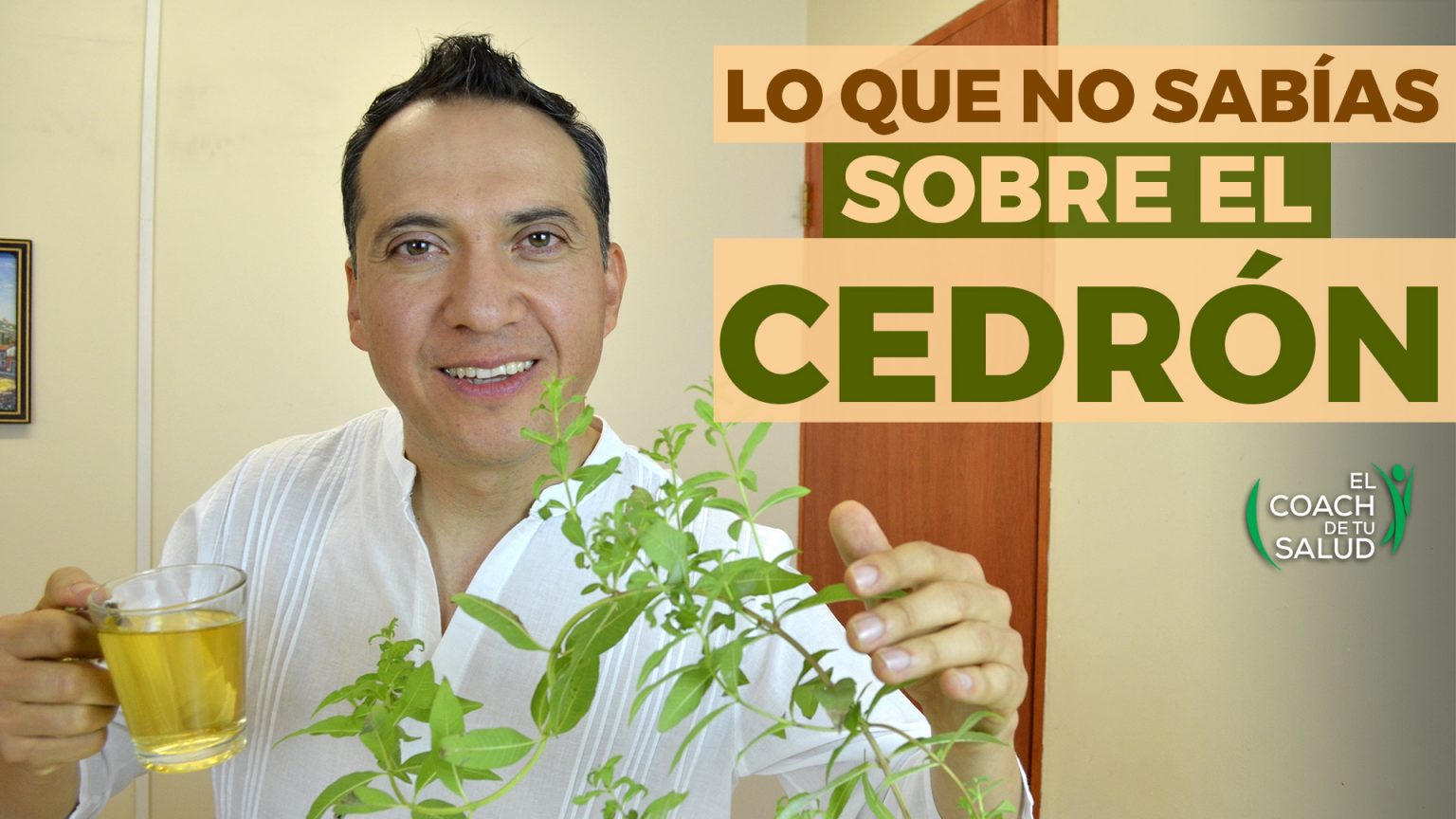 Cedrón, un té terapéutico con exquisito sabor – El Coach de tu Salud