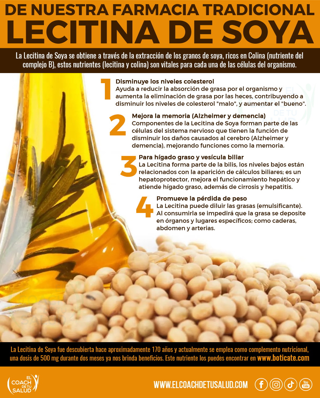 Por qué tomar Lecitina de soya – El Coach de tu Salud