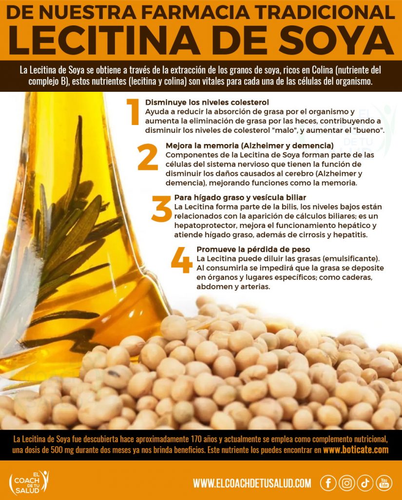 Por qué tomar Lecitina de soya – El Coach de tu Salud