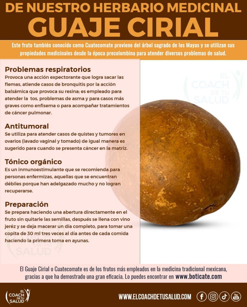 Cómo atiendo problemas respiratorios (Guaje Cirial) – El Coach de tu Salud