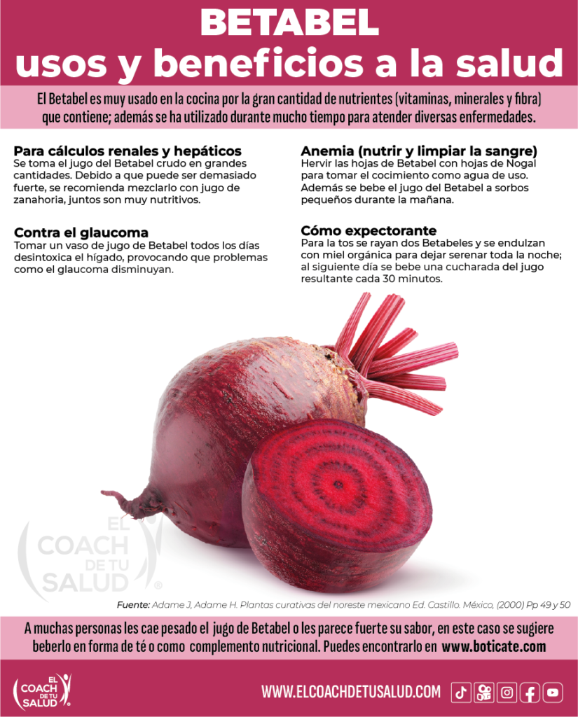 Te revelamos los 3 principales beneficios del Betabel – El Coach de tu ...
