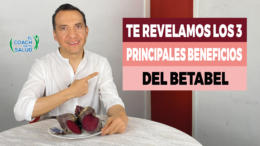 Te revelamos los 3 principales beneficios del Betabel – El Coach de tu ...