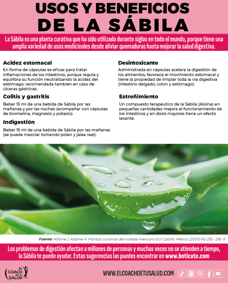 Descubre el poder curativo de la Sábila – El Coach de tu Salud