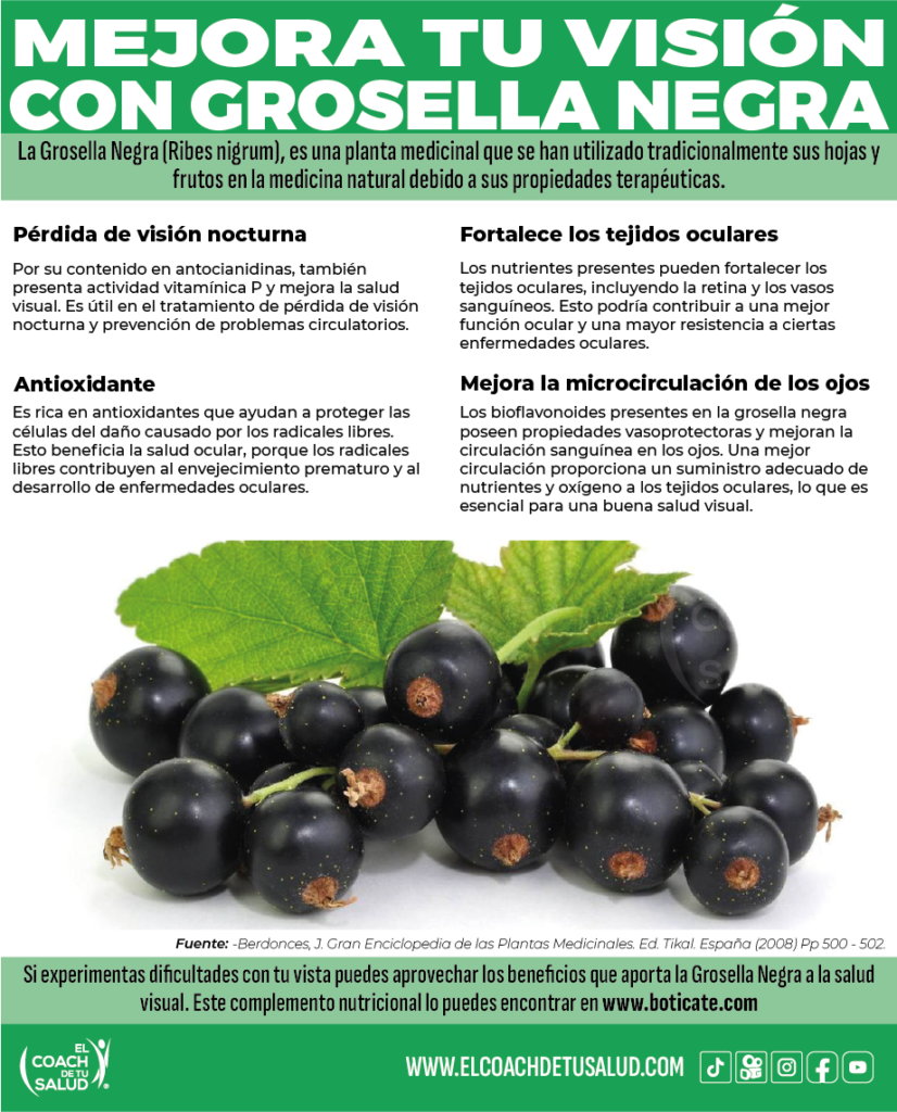 Mejora la visión de noche. Los secretos de la Grosella negra – El Coach ...
